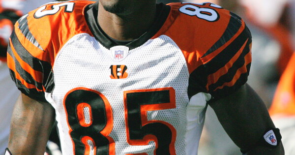Is Former NFL Player Chad Ochocinco And Sharelle Rosado Dating? Details ...