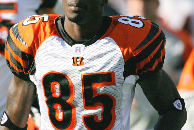 Is Former NFL Player Chad Ochocinco And Sharelle Rosado Dating? Details ...