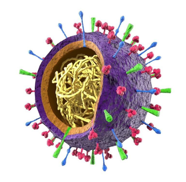 Jessica Inskip CNBC Wiki Bio: Who Is She? Know More About Her Net Worth ...