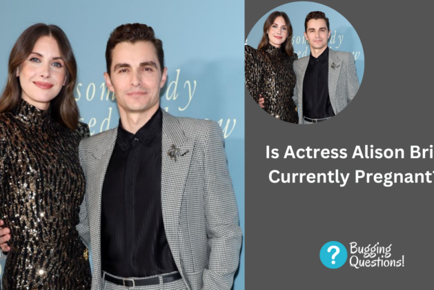 Is Actress Alison Brie Currently Pregnant? Know More About Her Personal ...