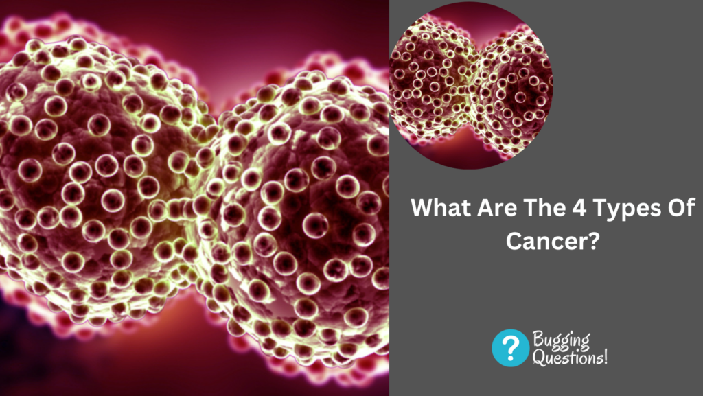 What Are The 4 Types Of Cancer? Here Is What To Know - Bugging Questions