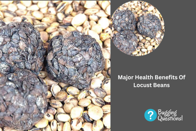 8 Major Health Benefits Of Locust Beans: Here Is What To Know - Bugging ...