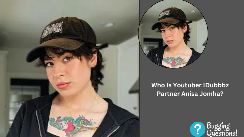 Who Is Youtuber IDubbbz Partner Anisa Jomha? Dating Timeline, Kids And ...