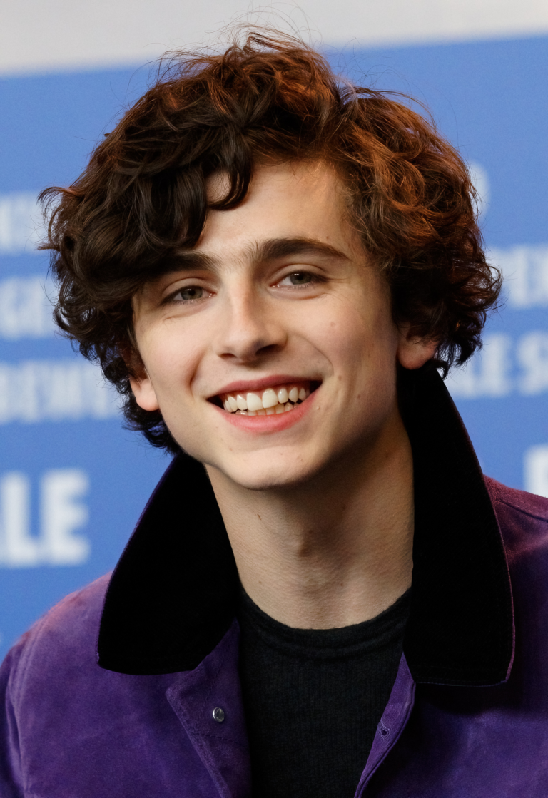 Timothee Chalamet Wikipedia Bio And Ethnicity: Where Is The Actor From ...