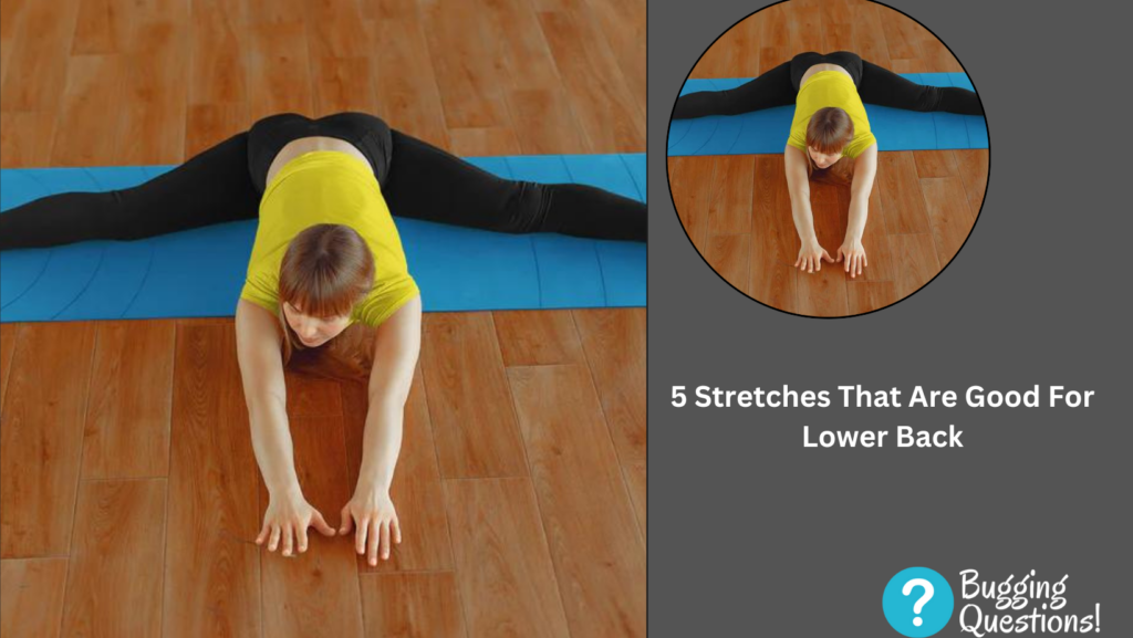 5 Stretches That Are Good For Lower Back- Here Is What To Know - Bugging Questions
