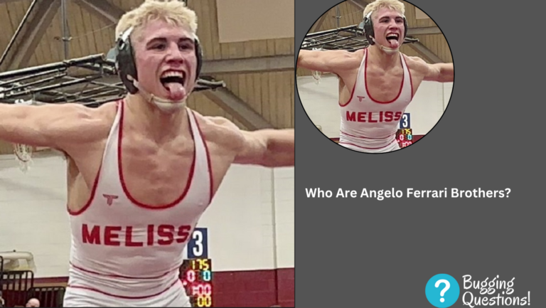Who Are Angelo Ferrari Brothers? Meet Aj And Anthony, Age Gap And ...