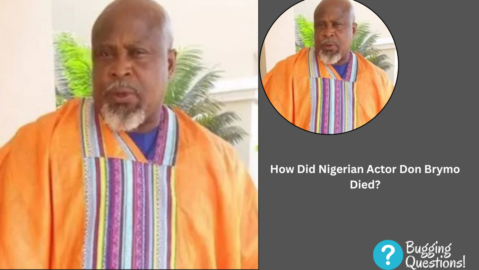 Has Polarcub Revealed Her Face? Here’s How She Actually Looks Like ...